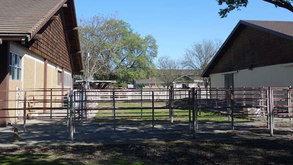Cole Facility | UC Davis Department of Animal Science