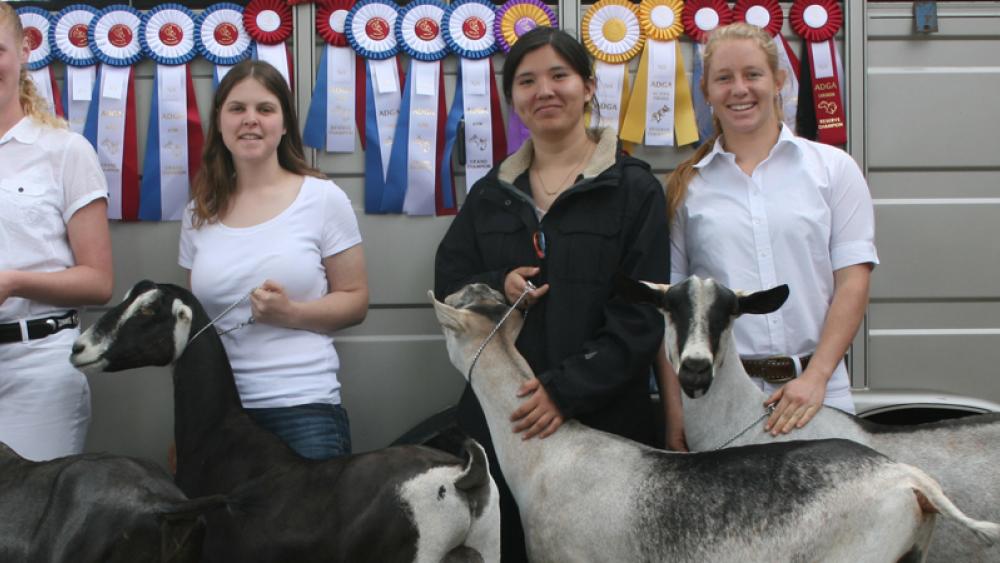 Goat Teaching & Research Facility | UC Davis Department of Animal Science